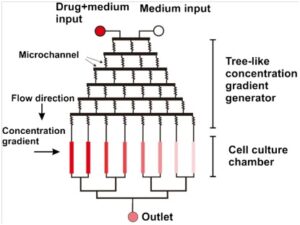 Human cells: Microfluidics as a tool for drug delivery - Cherry Biotech