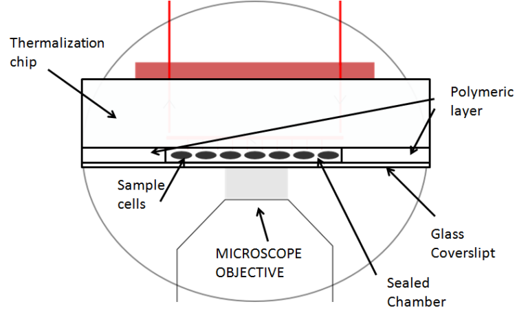 The importance of seal chambers to avoid evaporation while doing live ...