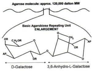Agar pad for live cell imaging - Cherry Biotech