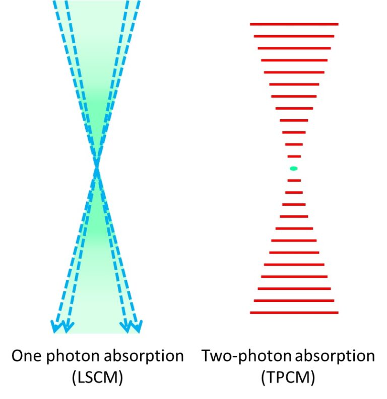 Introduction to two-photon excitation microscopy - Cherry Biotech