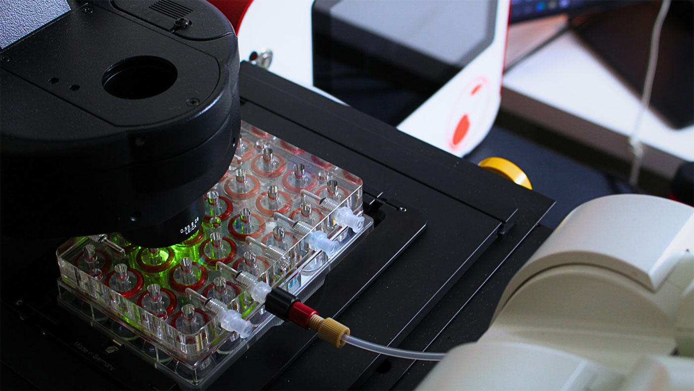 CubiX - Cherry Biotech