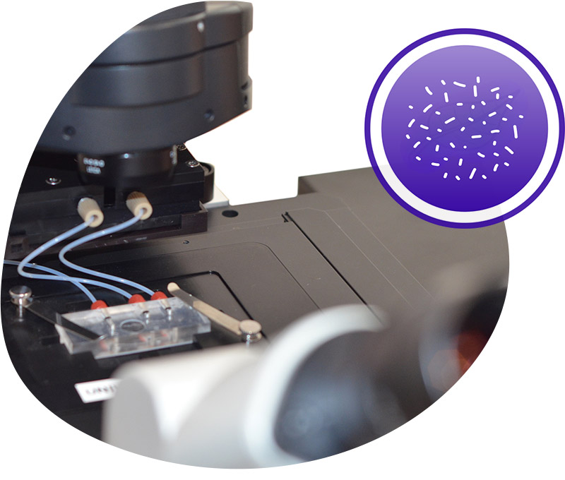 CherryTemp - Phase-Separation Pack - Cherry Biotech