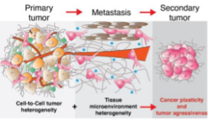 Cherry Biotech - PLAST_CELL – EIC Pathfinder Project