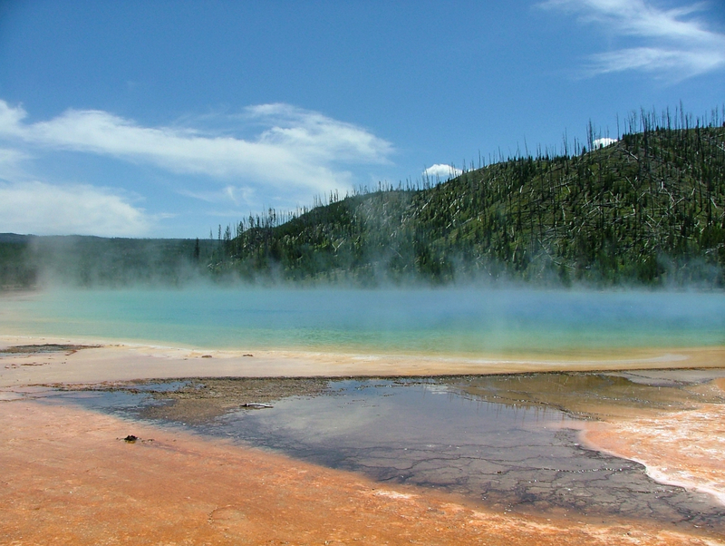 Thermophile And Cryophile Archaea And Bacteria Cherry Biotech