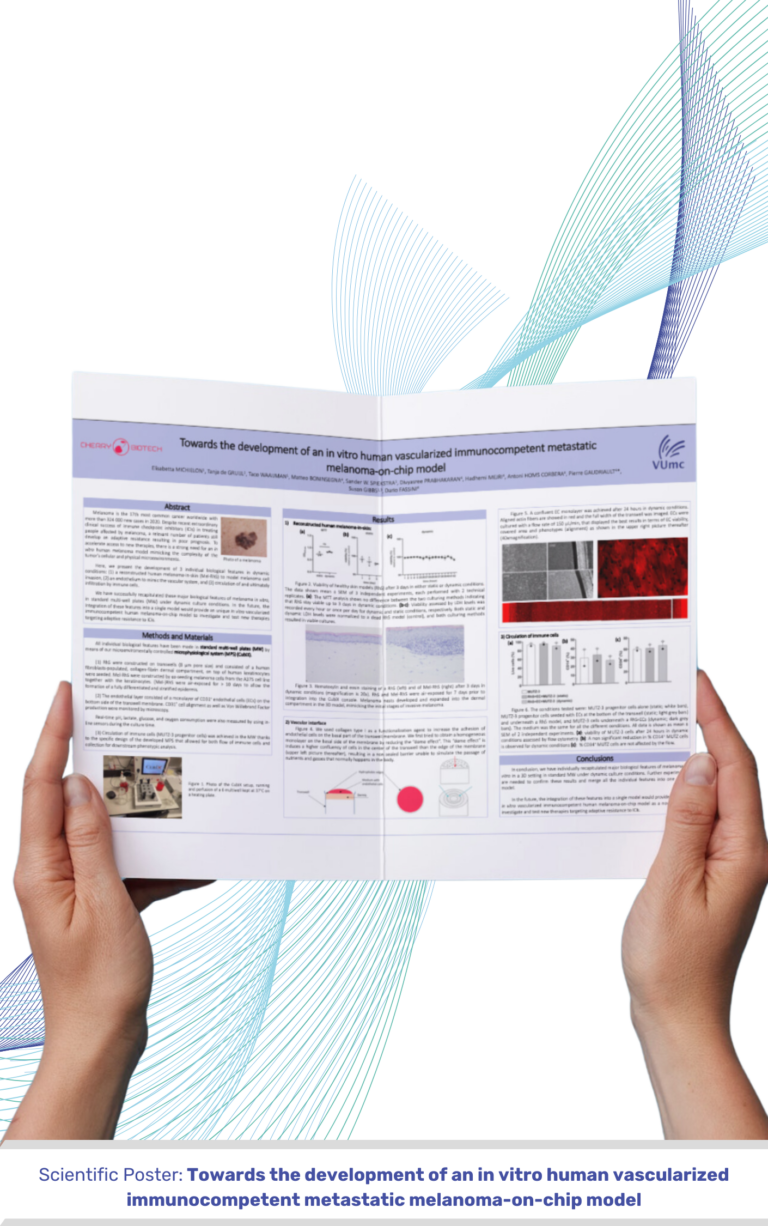 Scientific Poster – in vitro human vascularized immunocompetent ...