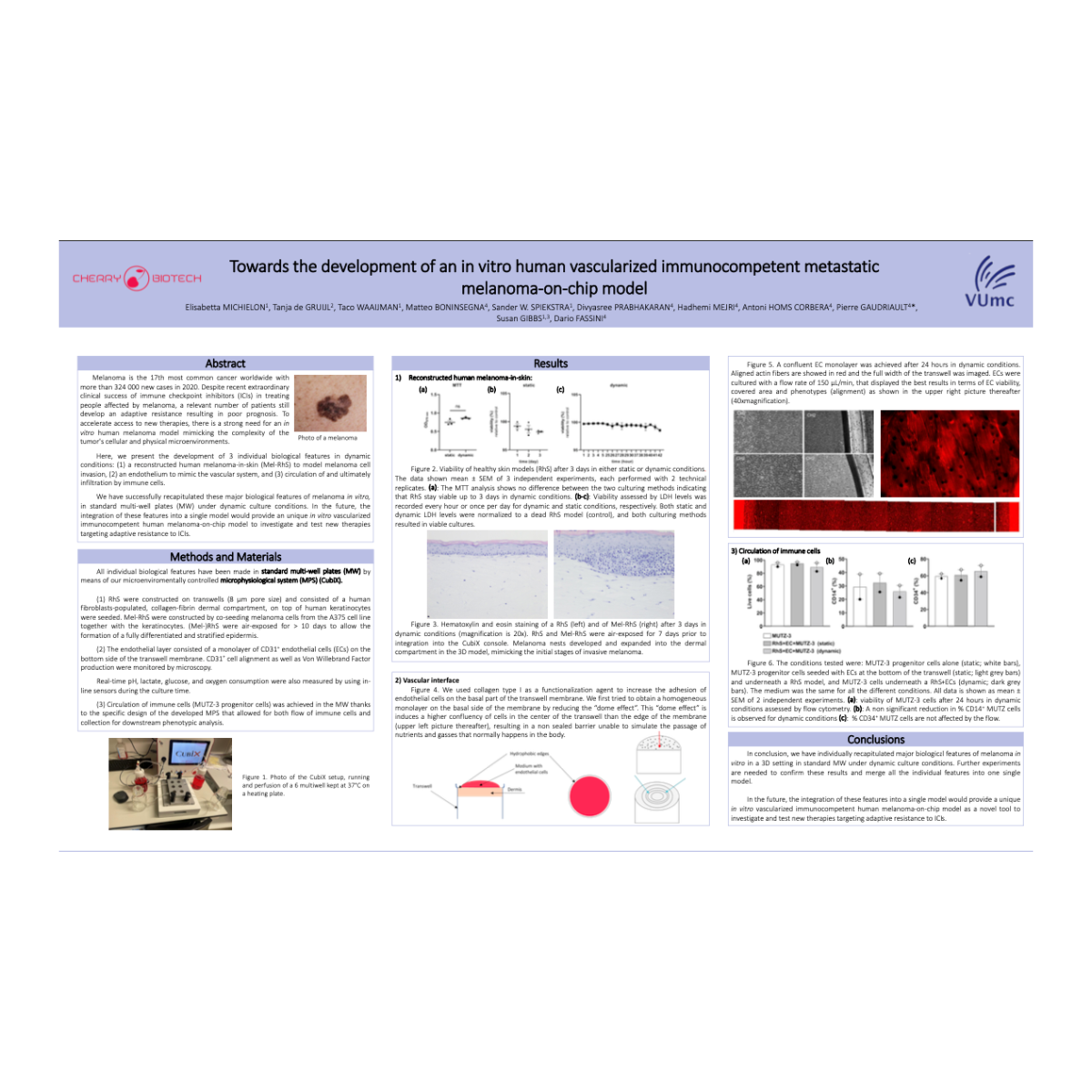 Scientific Poster – in vitro human vascularized immunocompetent ...