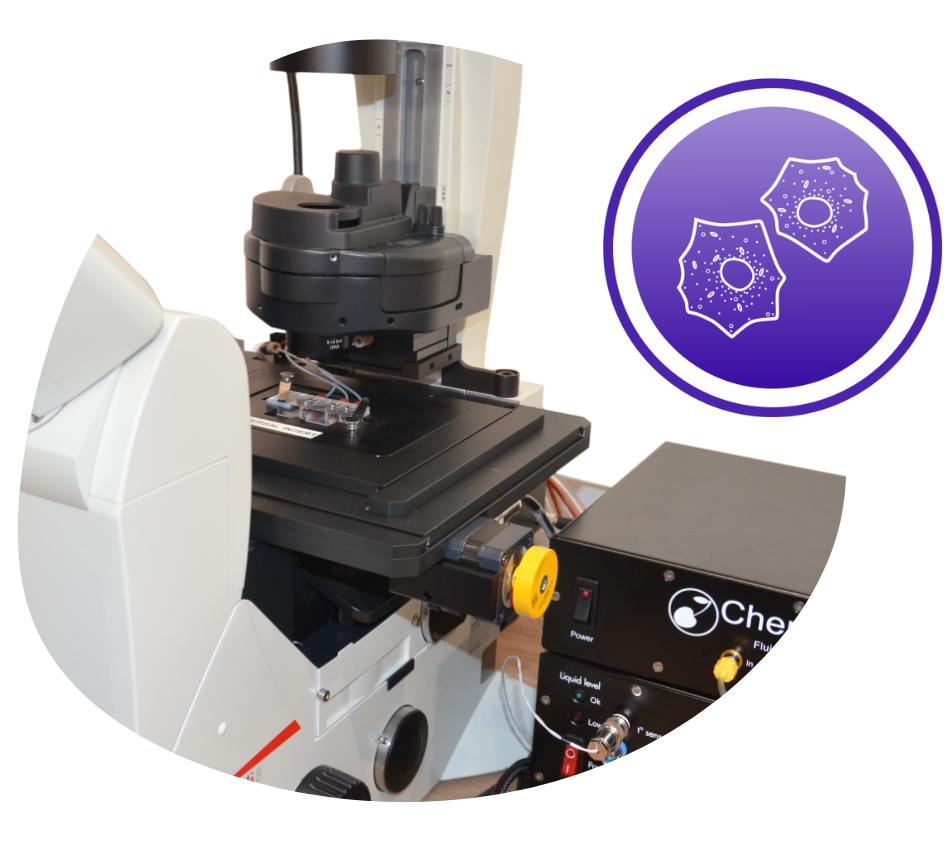 CherryTemp - Mammalian Pack - Cherry Biotech