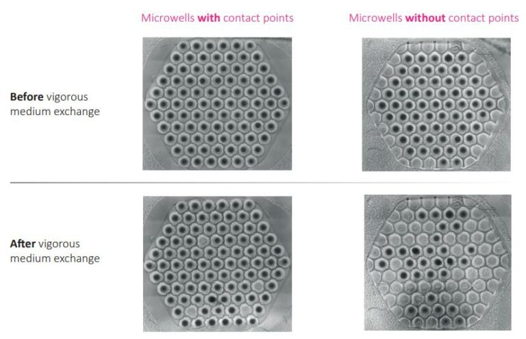 SmartSphero Plates — Organoids, Spheroids Easy 3D Cell Culture - Cherry ...