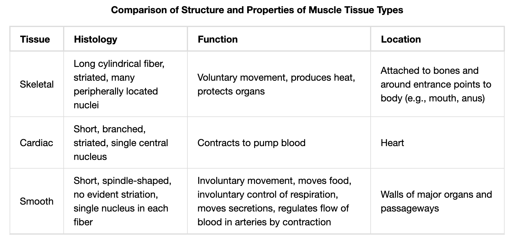 Skeletal Muscle Biopsy - Organ on a chip - Cherry Biotech
