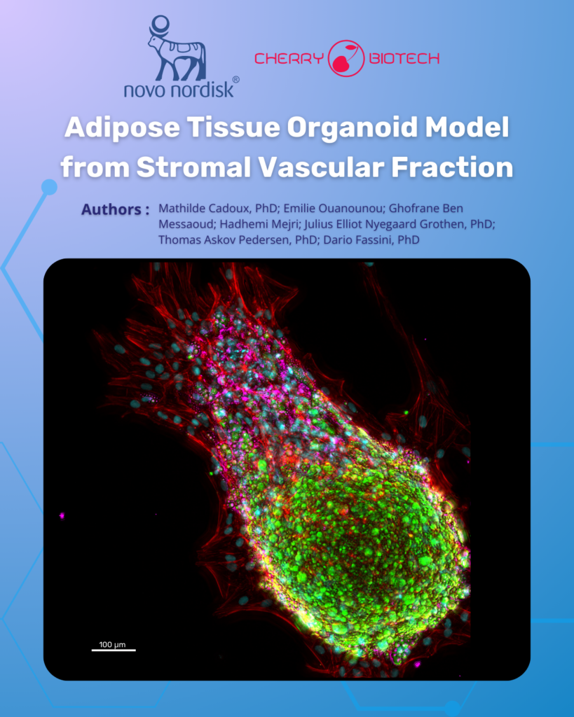Scientific Poster – Adipose Tissue Organoid Model from Stromal Vascular ...