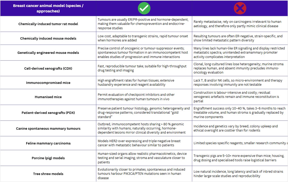 Breast cancer organoids as alternative to animal models - Cherry Biotech